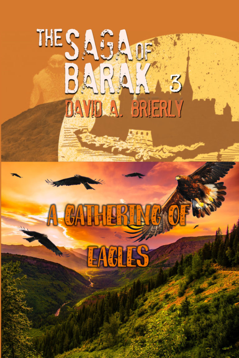 Barak Enterprises – David A. Brierly